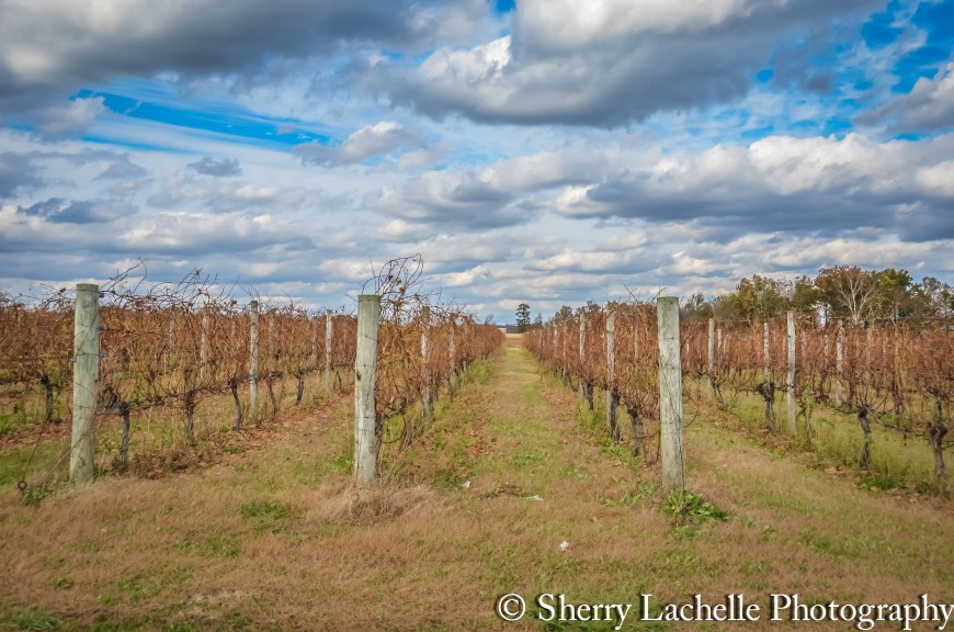 What to do in Ripley, Ohio…go to Meranda-Nixon Winery | Sherry Lachelle ...