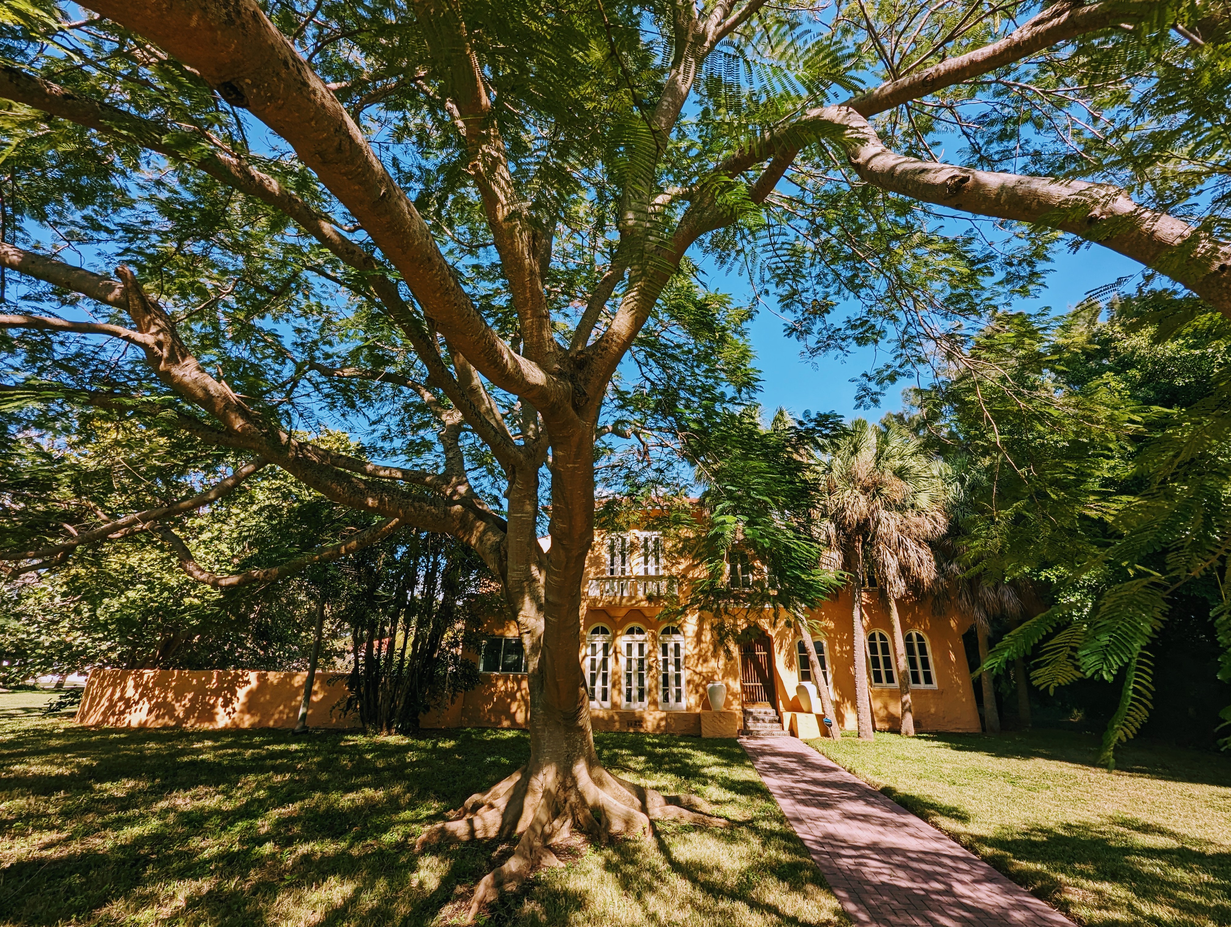 Cool Airbnb in St. Petersburg, Florida | Sherry Lachelle Travels