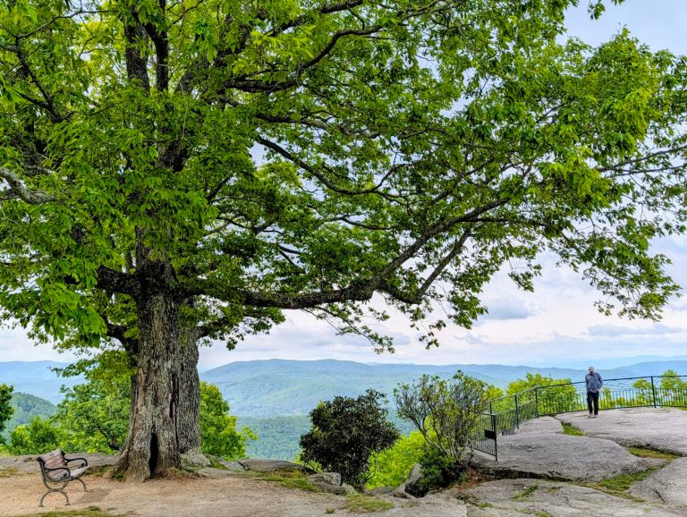 A drive in the country | Sherry Lachelle Travels